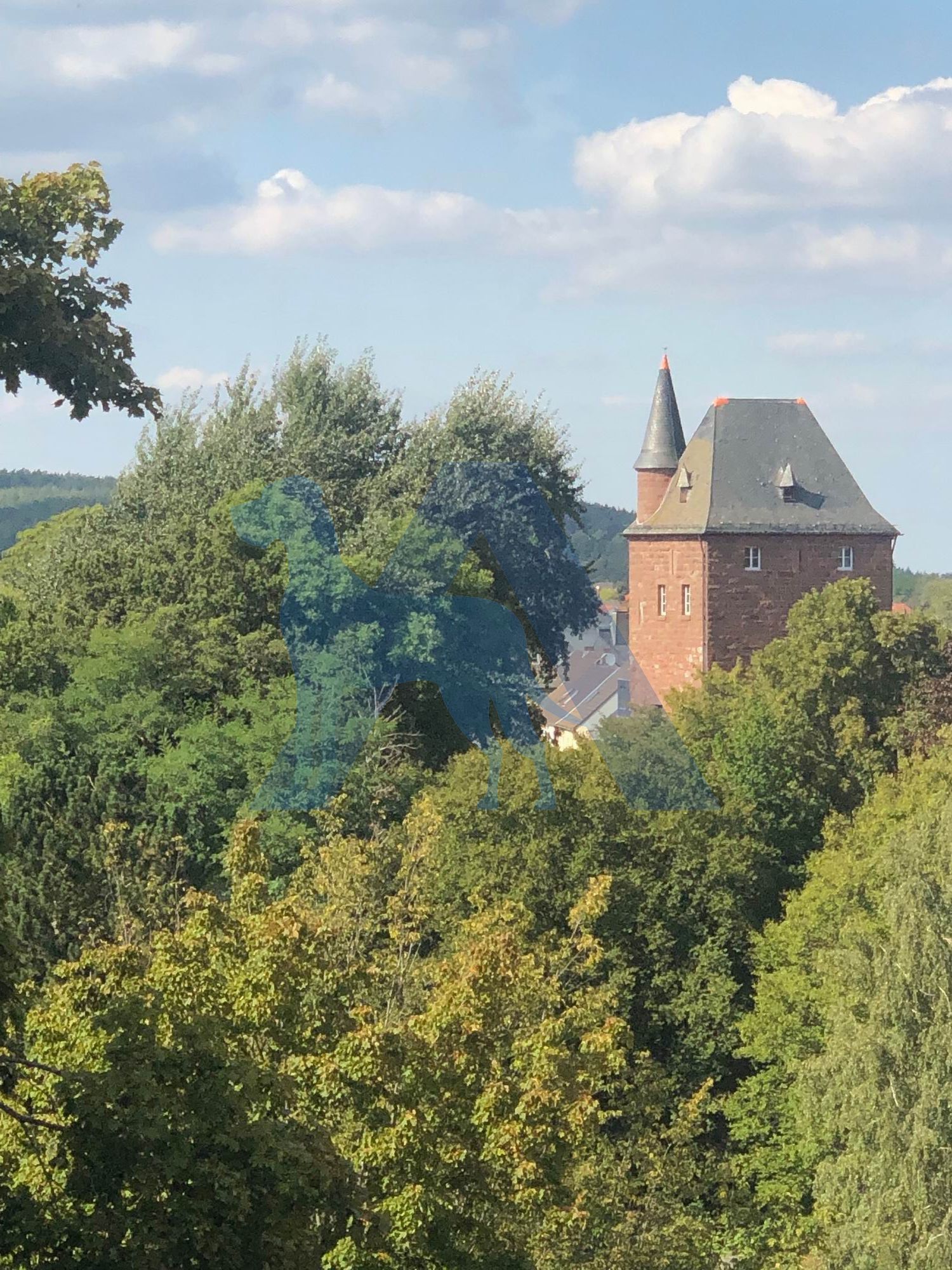Moderne 1 Zimmer Wohnung mit traumhaftem Ausblick in Nideggen ...