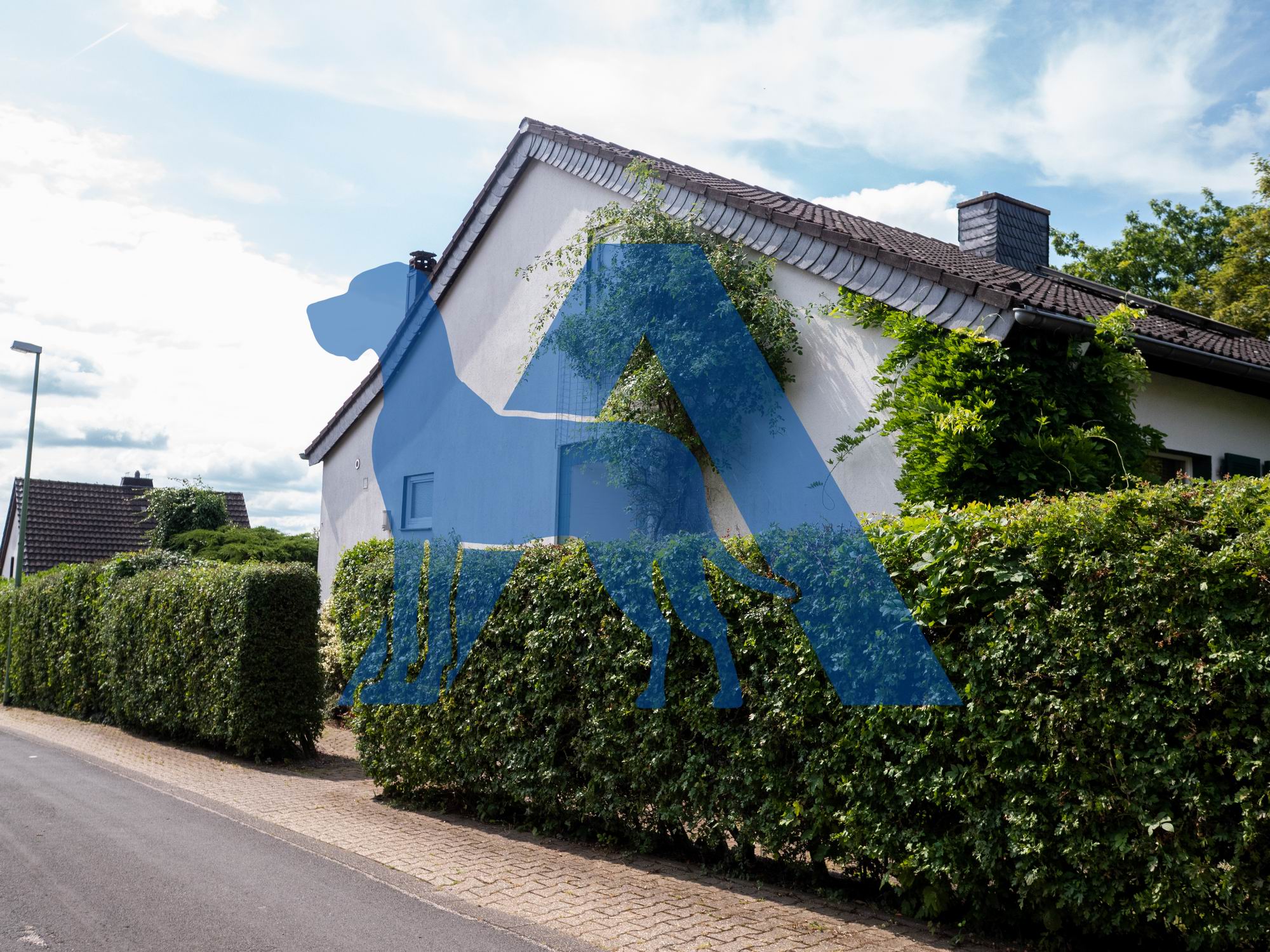 Unsere aktuellen Immobilienangebote - Immobilien Katrin Hesse